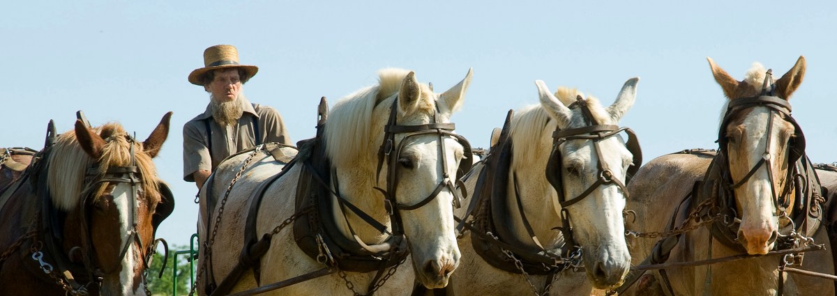 Your Mystery: Why is autism rare among the Amish? – SLIME MOLD TIME MOLD